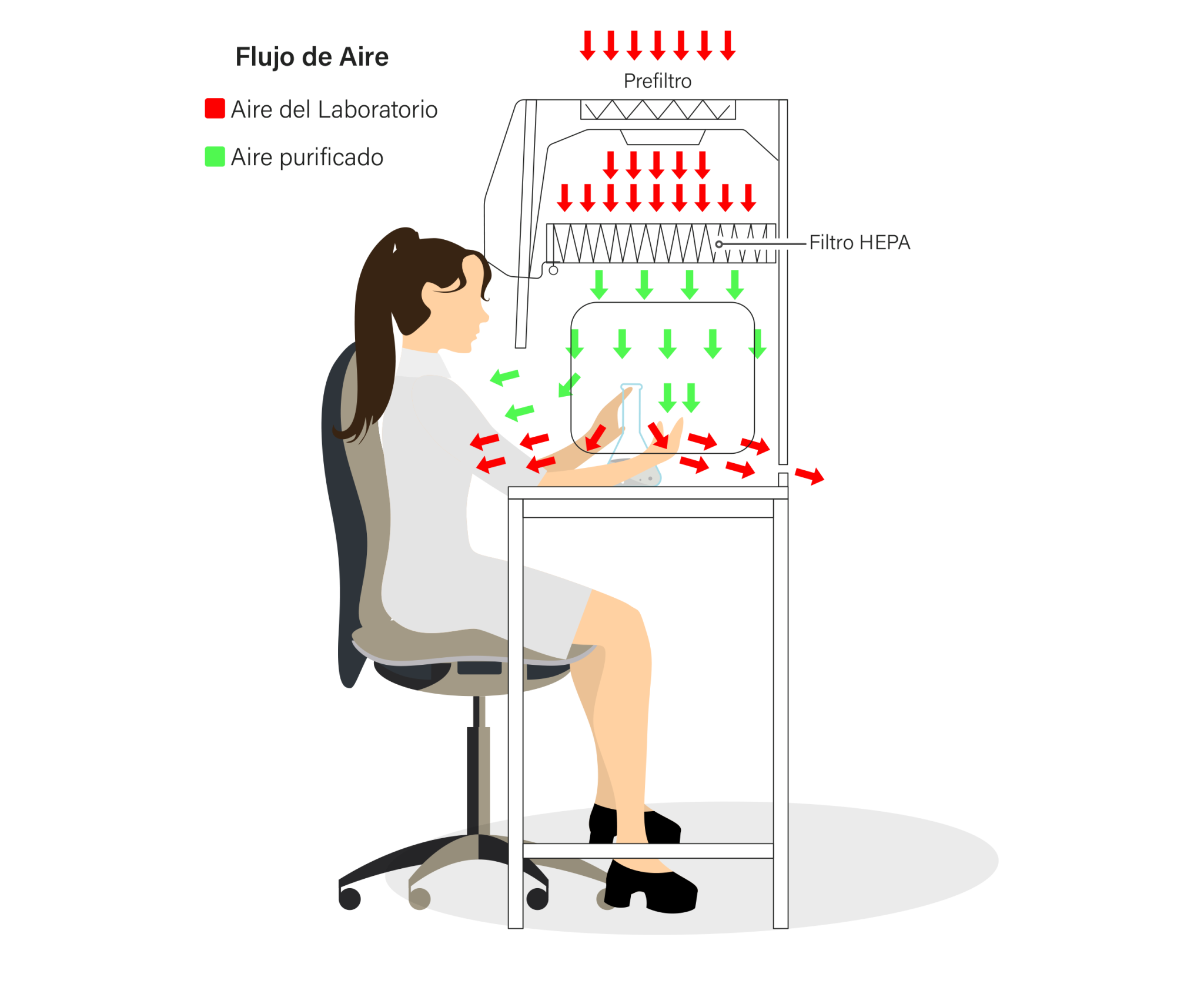 Campana de Flujo Laminar MLT-50 - Lumistell