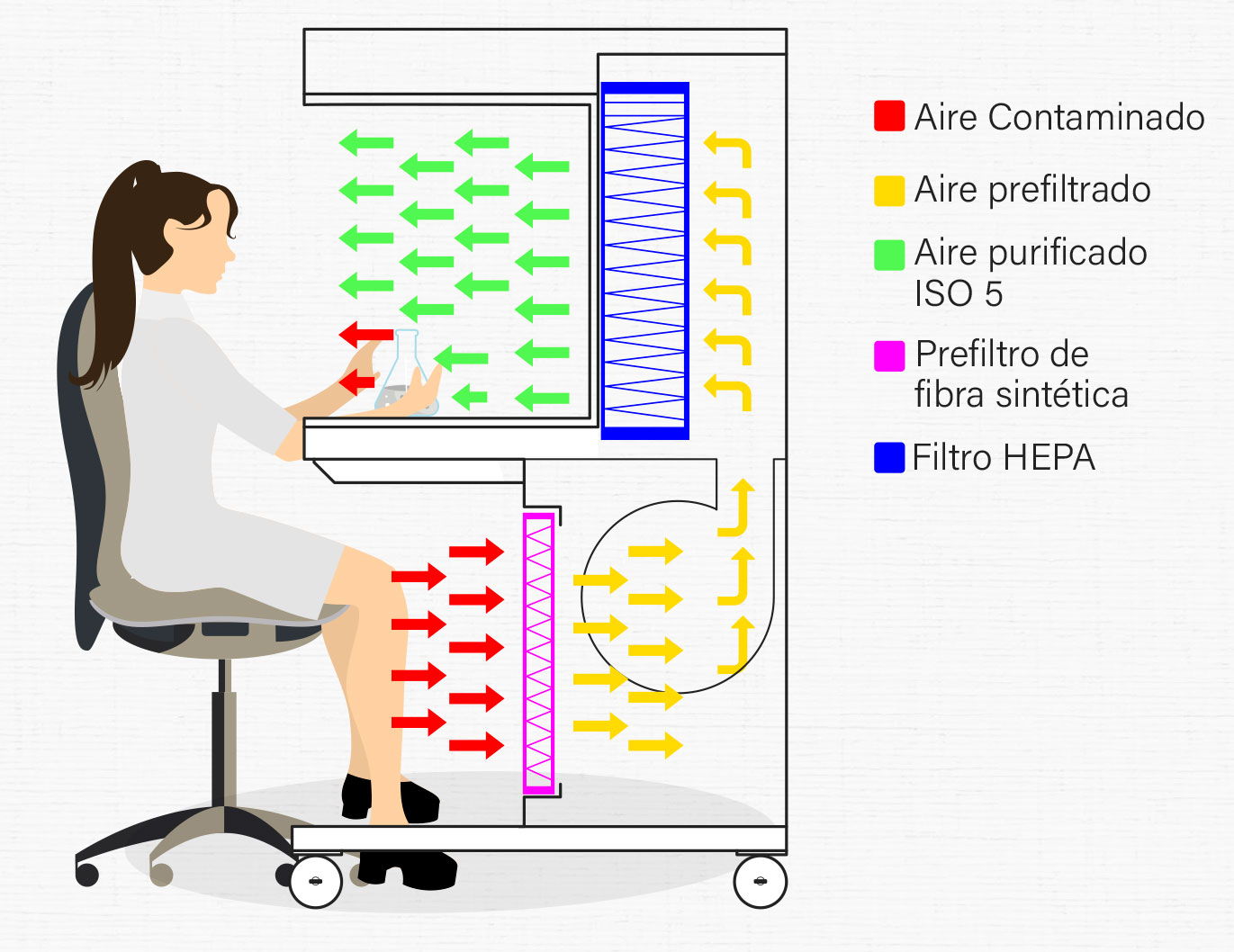 Campanas de Flujo Laminar Horizontal - Lumistell